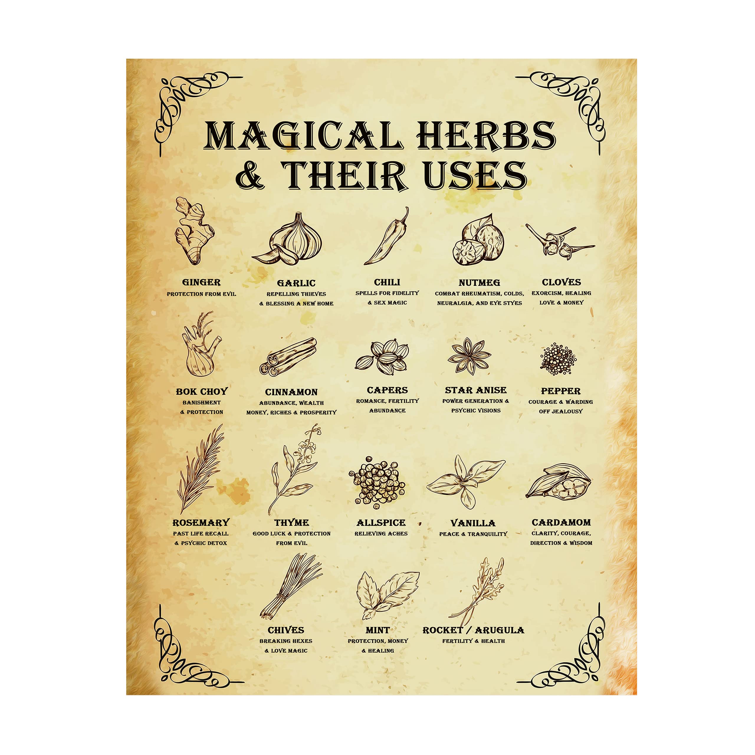 "Magical Herbs & Their Uses" Mystical Garden Herb Wall Art Sign -11 x ...