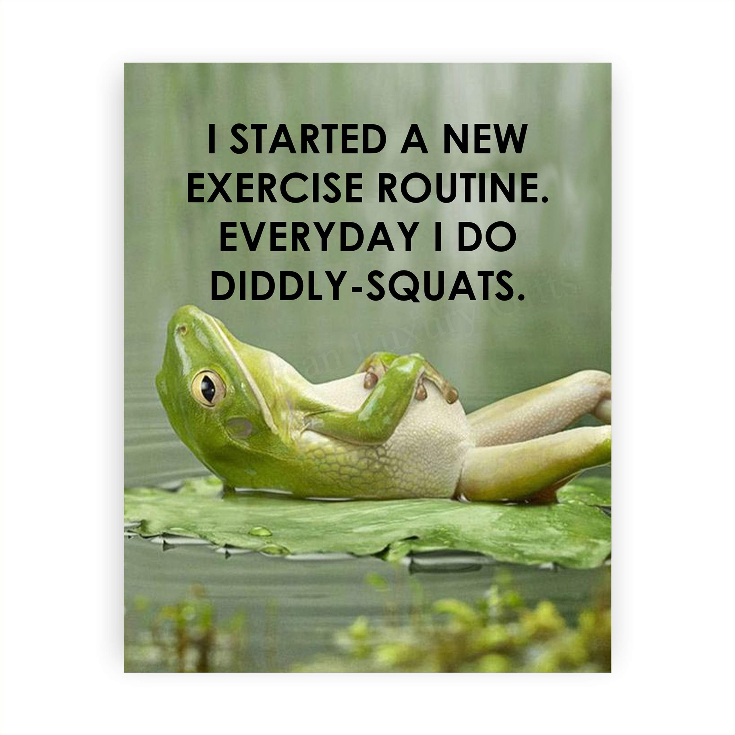 I Started A New Exercise Routine-Diddly Squats Funny Wall Art Sign-8 x ...
